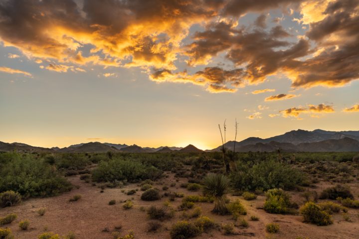 Arizona Land In Phoenix - LandForSaleStore