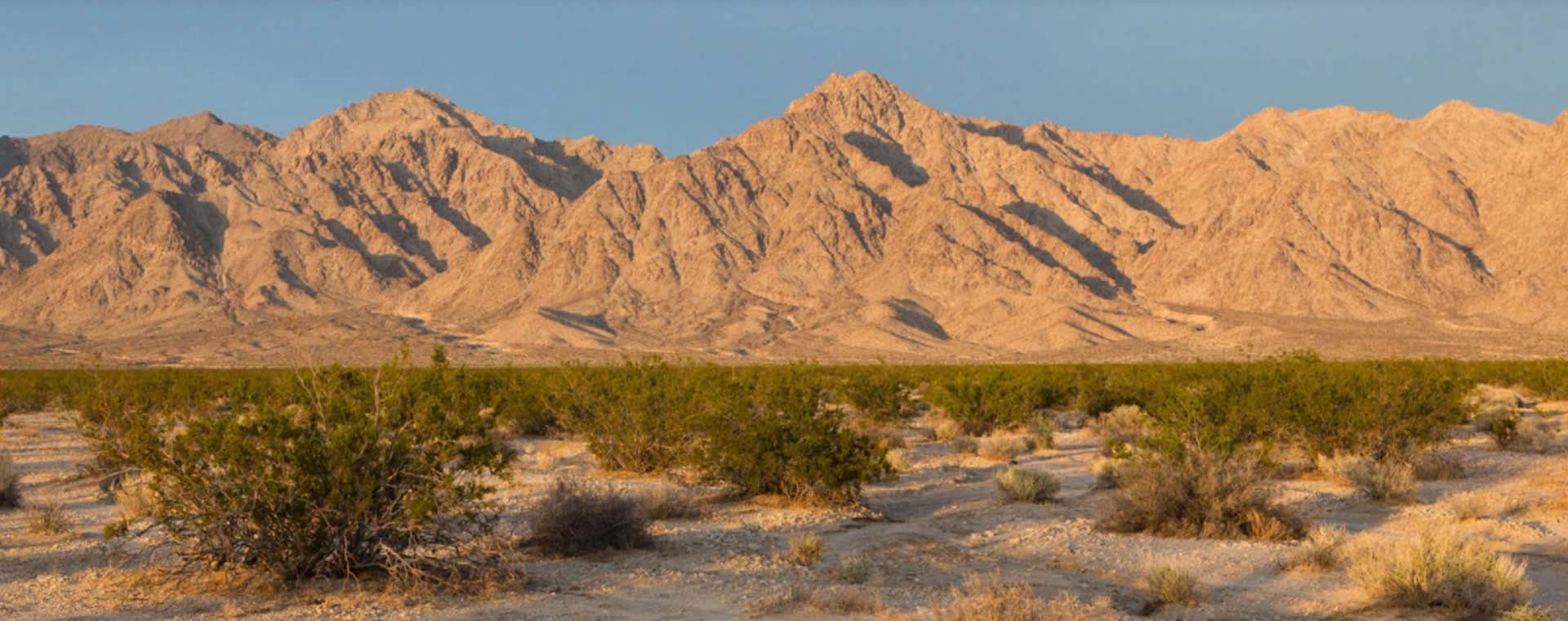 About Us - LandForSaleStore